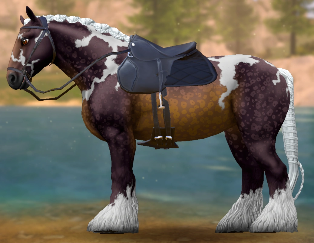 Lightning Dapple Clydesdale | Star Equestrian Wiki | Fandom