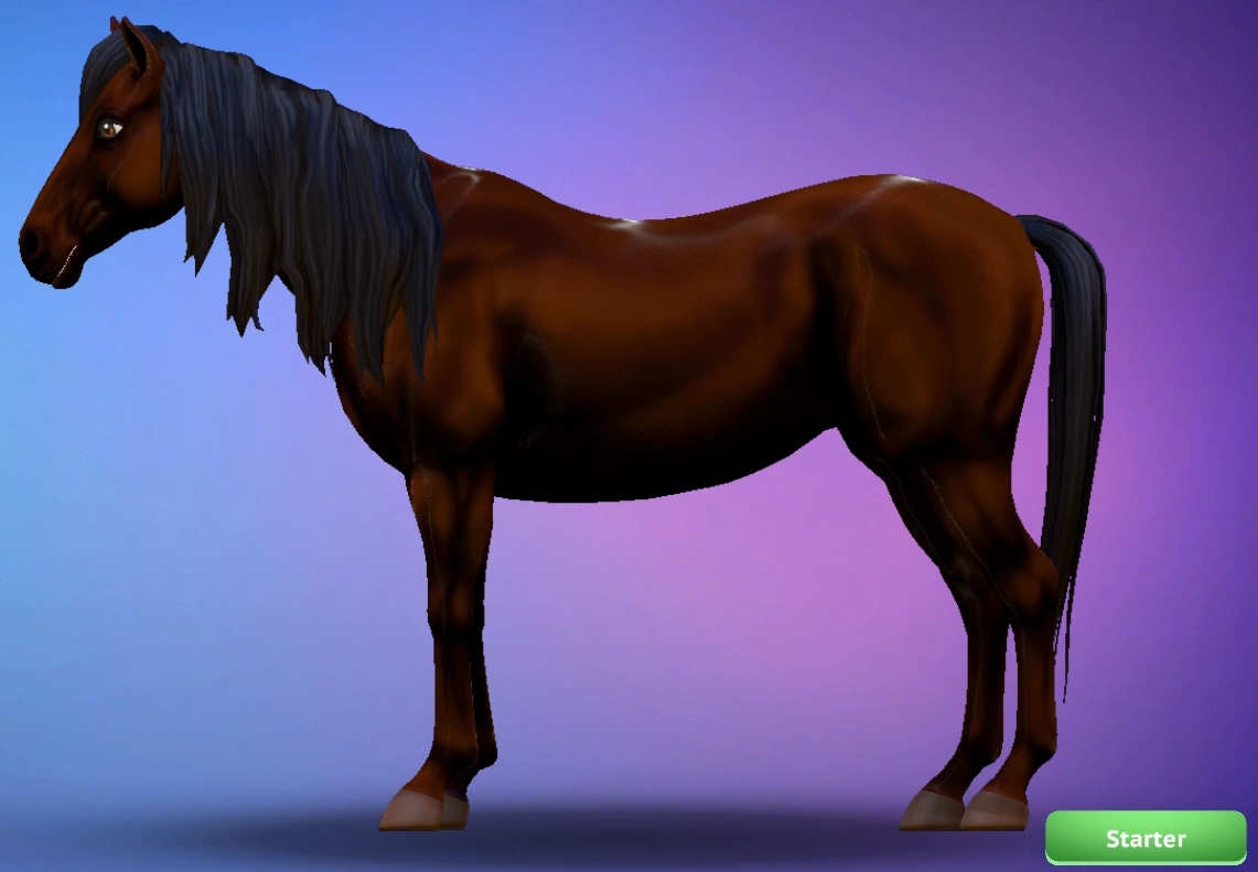 Dark Brown Evervale Warmblood | Star Equestrian Wiki | Fandom