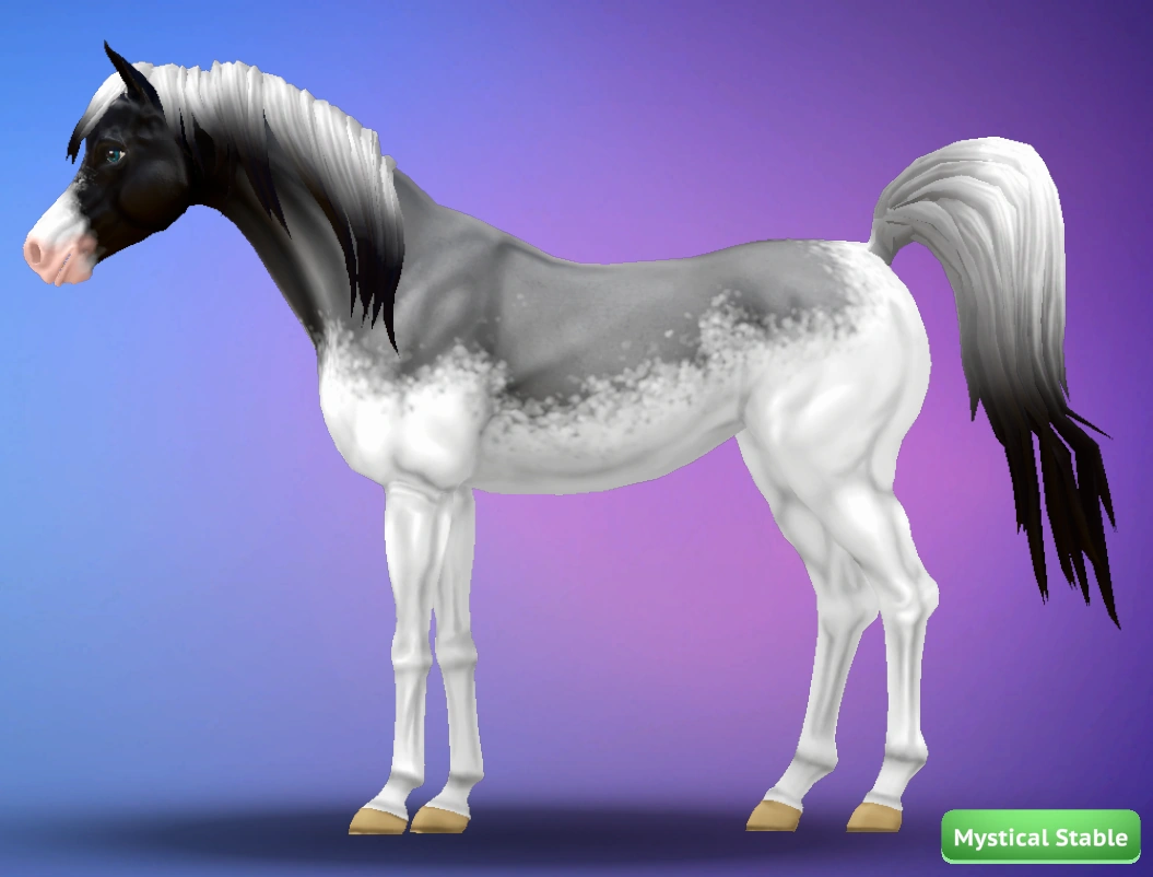 Silver Splashed Pintabian | Star Equestrian Wiki | Fandom
