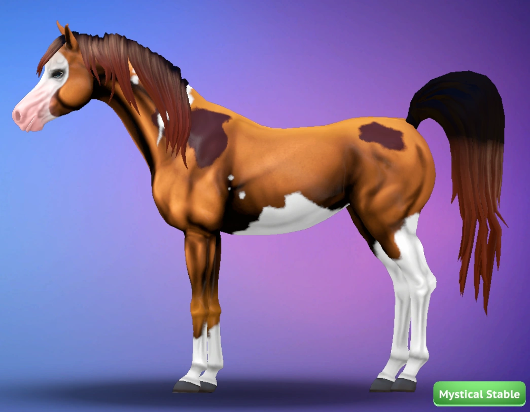 Grease Spot Pintabian | Star Equestrian Wiki | Fandom