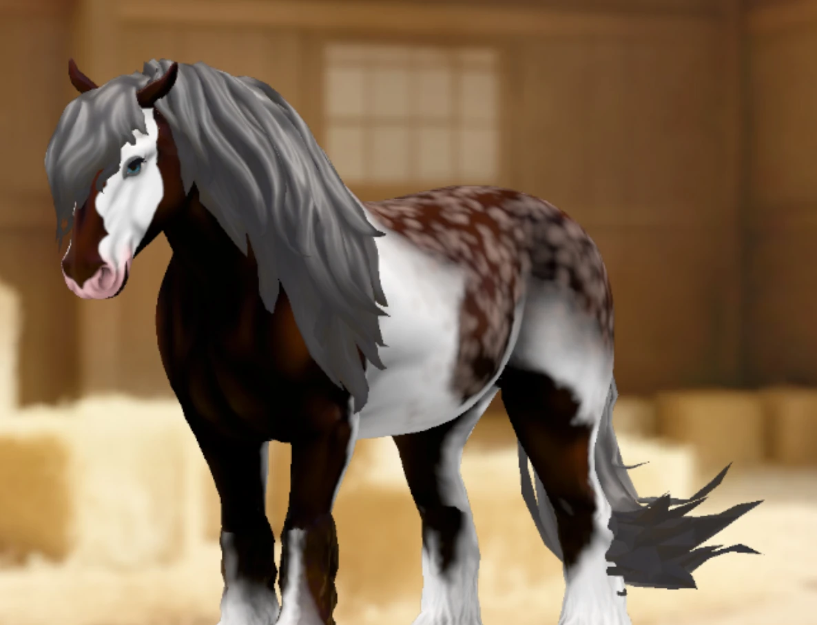 Shire | Star Equestrian Wiki | Fandom