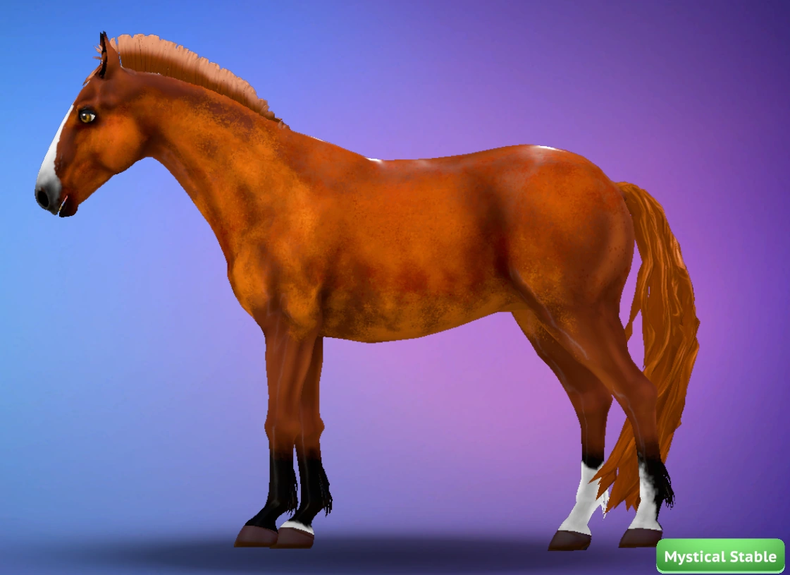 Blood Bay Kiger | Star Equestrian Wiki | Fandom