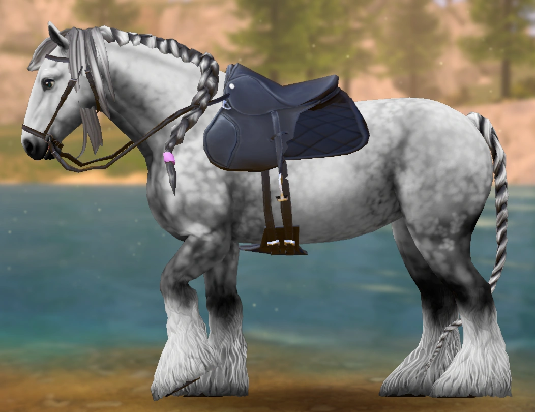 Dapple Grey Clydesdale | Star Equestrian Wiki | Fandom