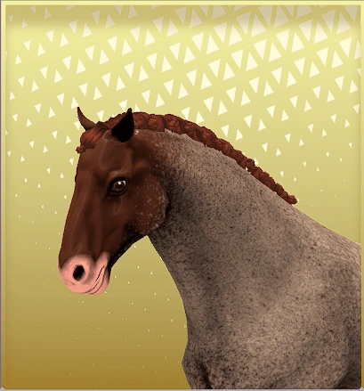 Red Roan Friesian Sport | Star Equestrian Wiki | Fandom