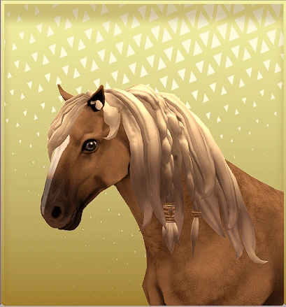 Palomino Friesian Sport | Star Equestrian Wiki | Fandom