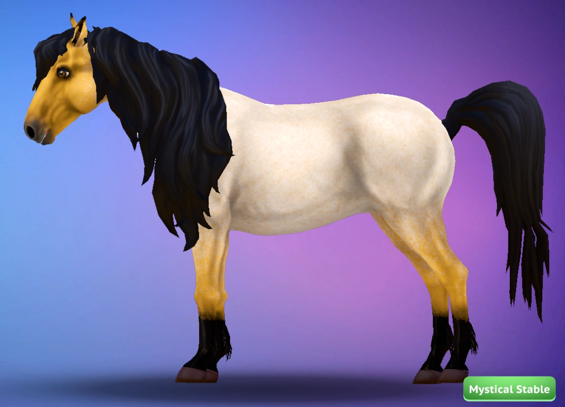 Bay Dun Kiger | Star Equestrian Wiki | Fandom