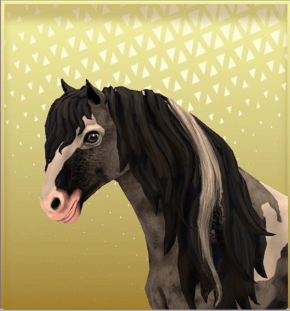 Grey Pintaloosa Friesian Sport | Star Equestrian Wiki | Fandom