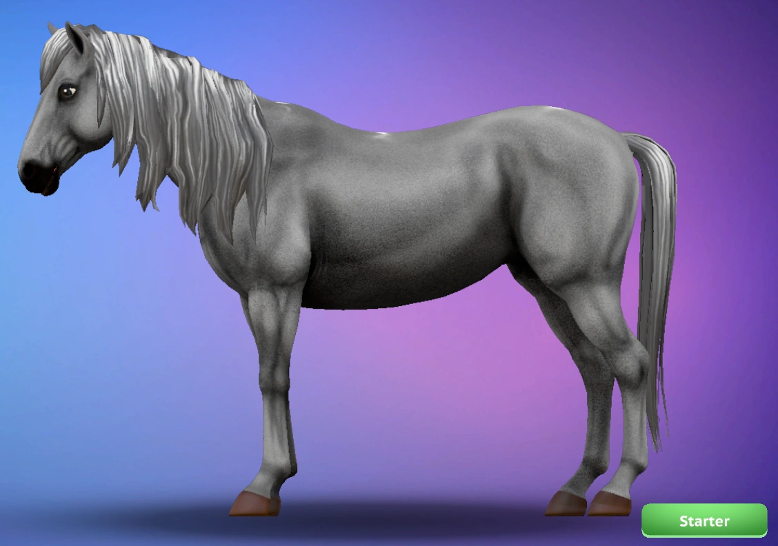 Grey Evervale Warmblood | Star Equestrian Wiki | Fandom