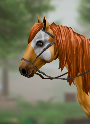 Mustang | Star Equestrian Wiki | Fandom