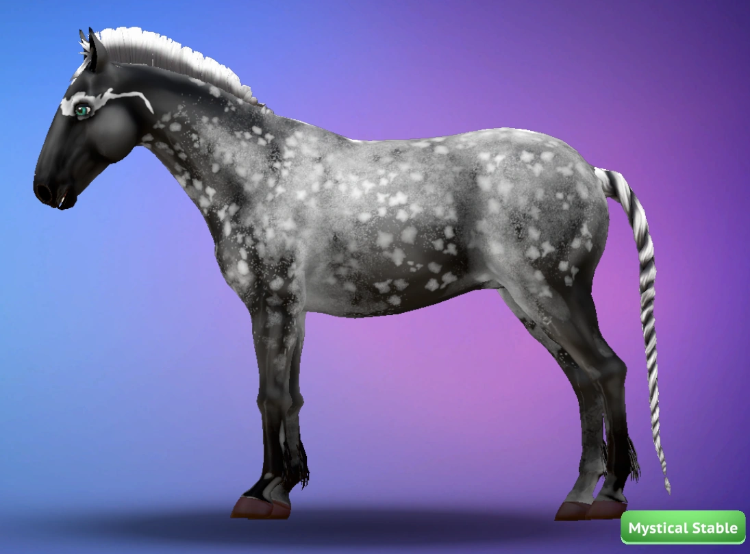 Grulla Dun Kiger | Star Equestrian Wiki | Fandom