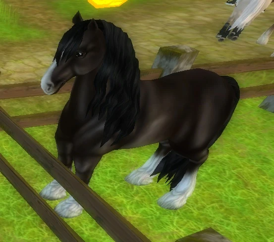 Shire | Wikia Star Stable Online | Fandom