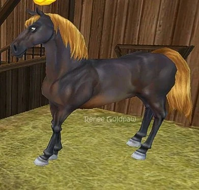 Morgan | Wikia Star Stable Online | Fandom