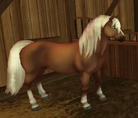 Haflinger | Wikia Star Stable Online | Fandom