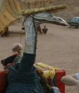 Unidentified Pasaana Alien (1) | Star Wars Aliens Wiki | Fandom