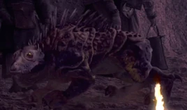 Massiff | Star Wars Animal Wiki | Fandom