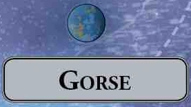 Gorse | Star Wars Canon Wiki | Fandom