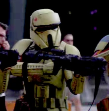 Imperial Shoretrooper | Star Wars Canon Wiki | Fandom