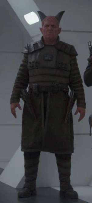 Burg | Star Wars Canon Wiki | Fandom