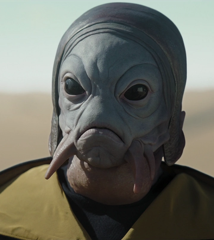 Unidentified Pyke Traveler | Star Wars Canon Wiki | Fandom
