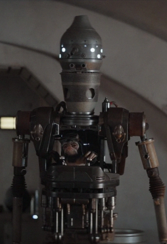 IG-12 | Star Wars Canon Wiki | Fandom