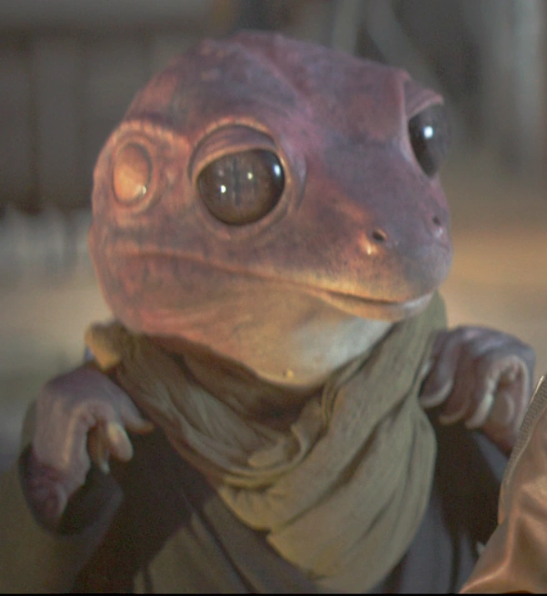 Frog Lady | Star Wars Canon Wiki | Fandom