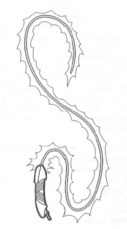 Neuronic Whip | Star Wars: Empires of the Galaxy Wiki | Fandom