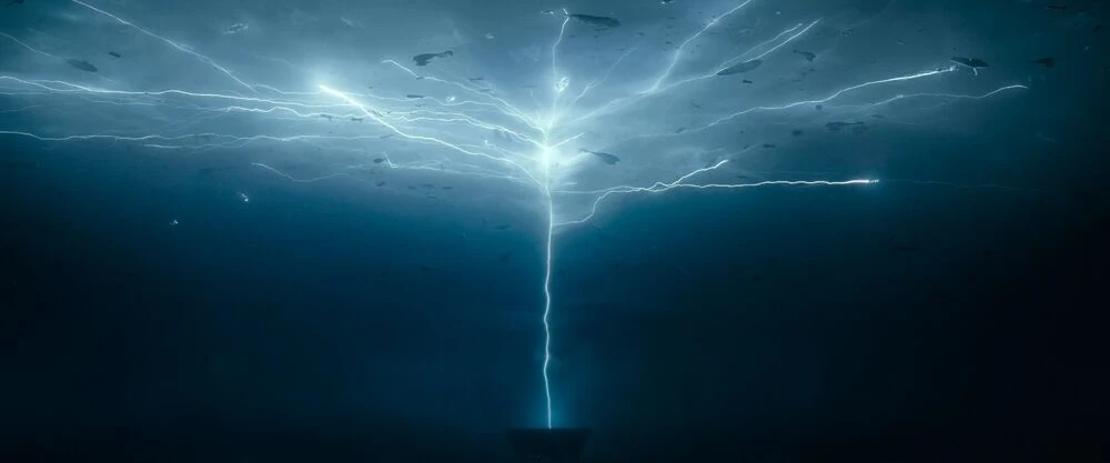 Battle of Exegol | Star Wars Fan Stories Wiki | Fandom