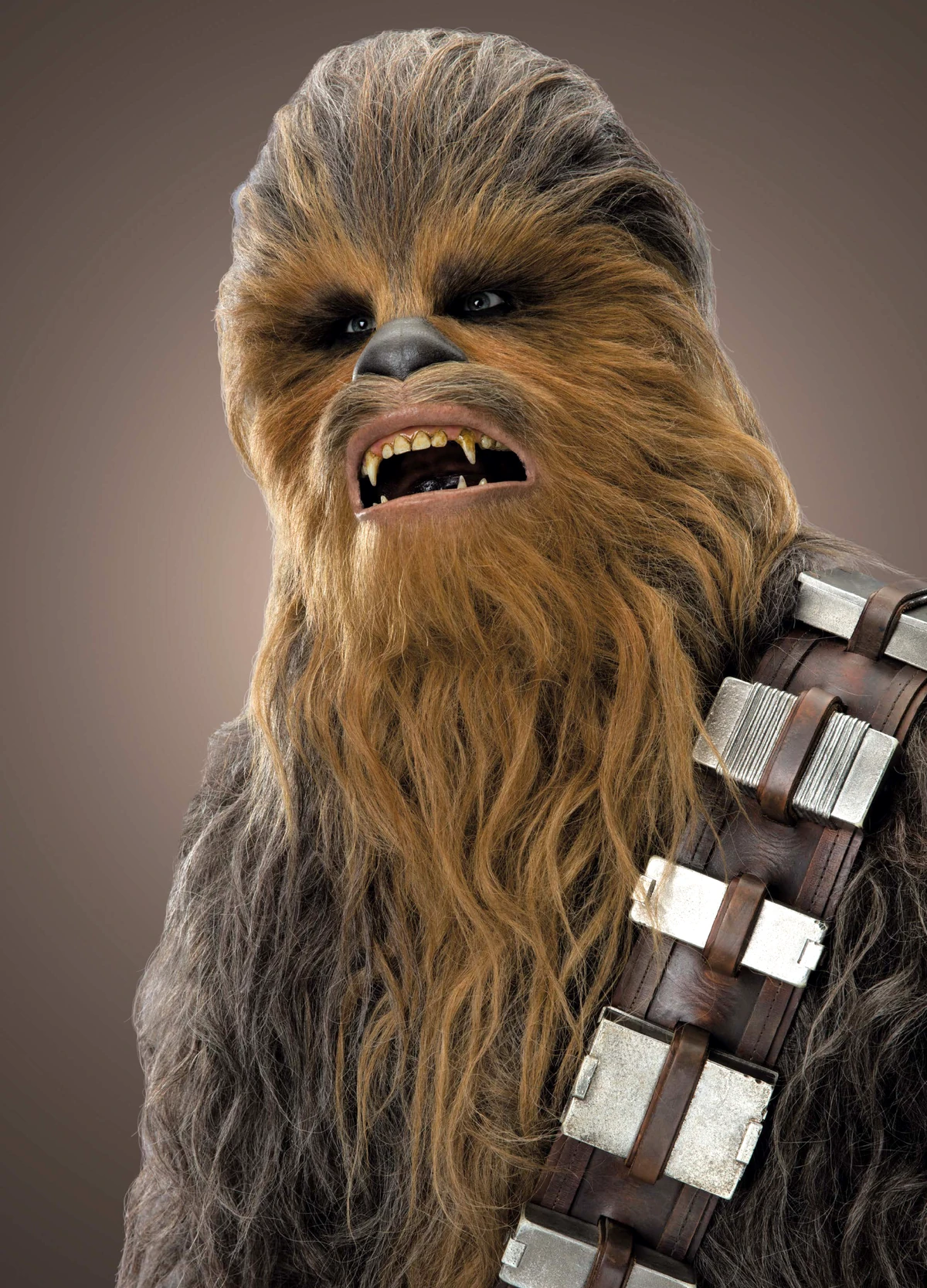 Chewbacca | Star Wars Legends Wiki | Fandom
