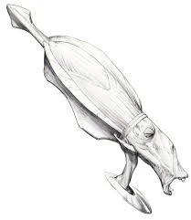 Lott Dod | Star Wars Legends Wiki | Fandom