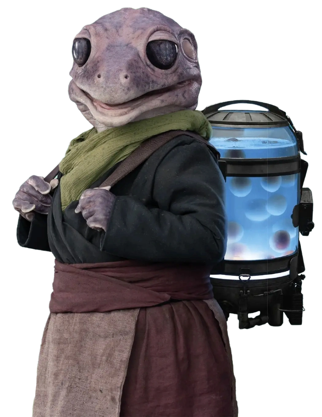 Frog Lady | Star Wars Legends Wiki | Fandom