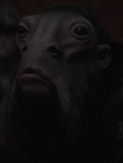 Tarsunt | Star Wars Legends Wiki | Fandom