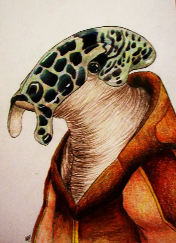 Category:Selkath | Star Wars Legends Wiki | Fandom