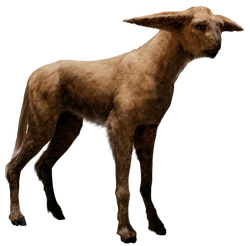 Fathier | Star Wars Legends Wiki | Fandom