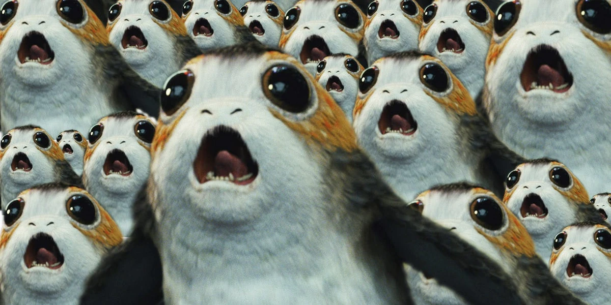 PORGGGGGGSSSSSSSS | Star Wars Porgs Wiki | Fandom