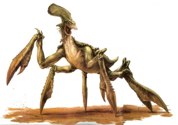 Acklay | Star Wars Saga Wiki | Fandom