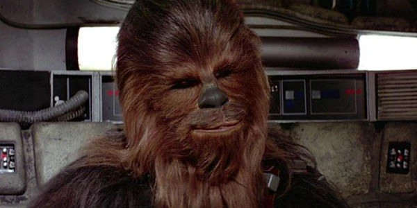 Chewbacca | Star Wars Skywalker Saga Wiki | Fandom