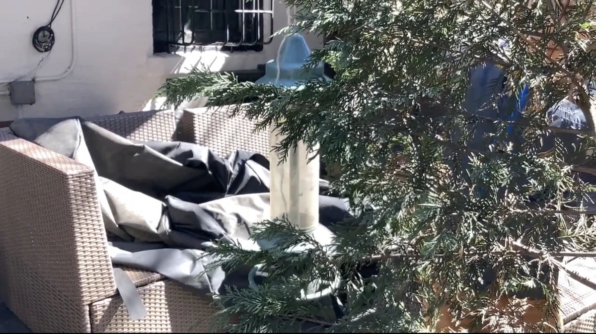 Irodinia | Star Wars timber Wiki | Fandom