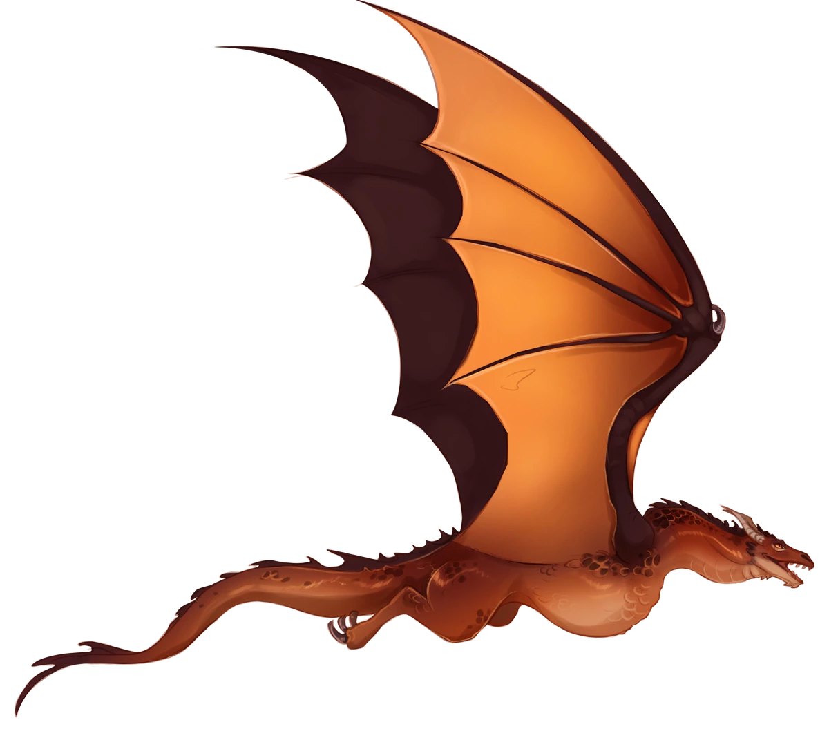 Aodhian Wyvern | Starborn Alignment Wiki | Fandom