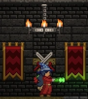 Wizard Robe | Starbound Wiki | Fandom