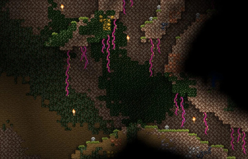 Wilderness Biome | Starbound Wiki | Fandom