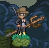 Rickety Stick | Starbound Wiki | Fandom