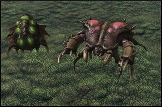 Guardian | Starbow Wiki | Fandom