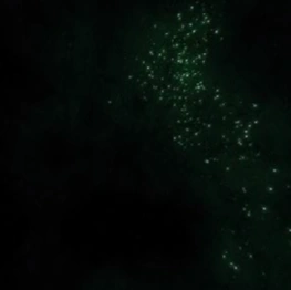 Starfields | Starchitect Wikia | Fandom