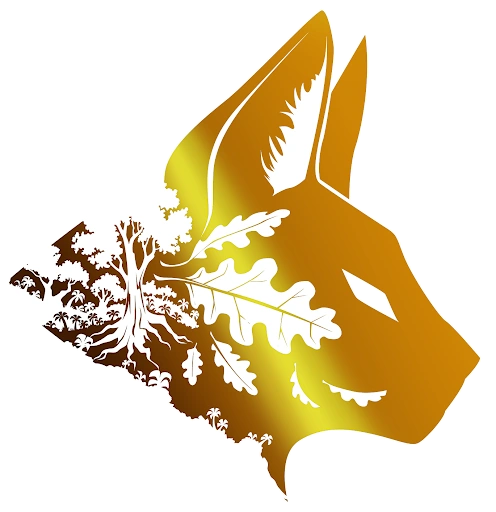 Oak Colony | Clouded Moon Wiki | Fandom