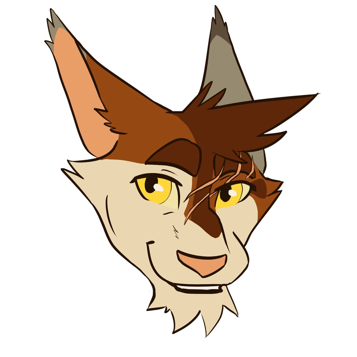 Catcher | Clouded Moon Wiki | Fandom