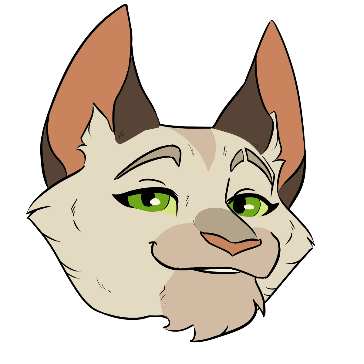 Beechleaf | Clouded Moon Wiki | Fandom