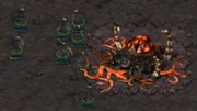Second Overmind | StarCraft Wiki | Fandom