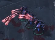 Vanguard | StarCraft Wiki | Fandom