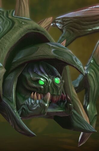 Primal roach | StarCraft Wiki | Fandom Primal roach | StarCraft Wiki | Fandom