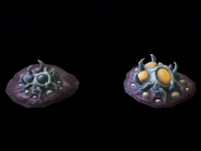 Creep tumor | StarCraft Wiki | Fandom